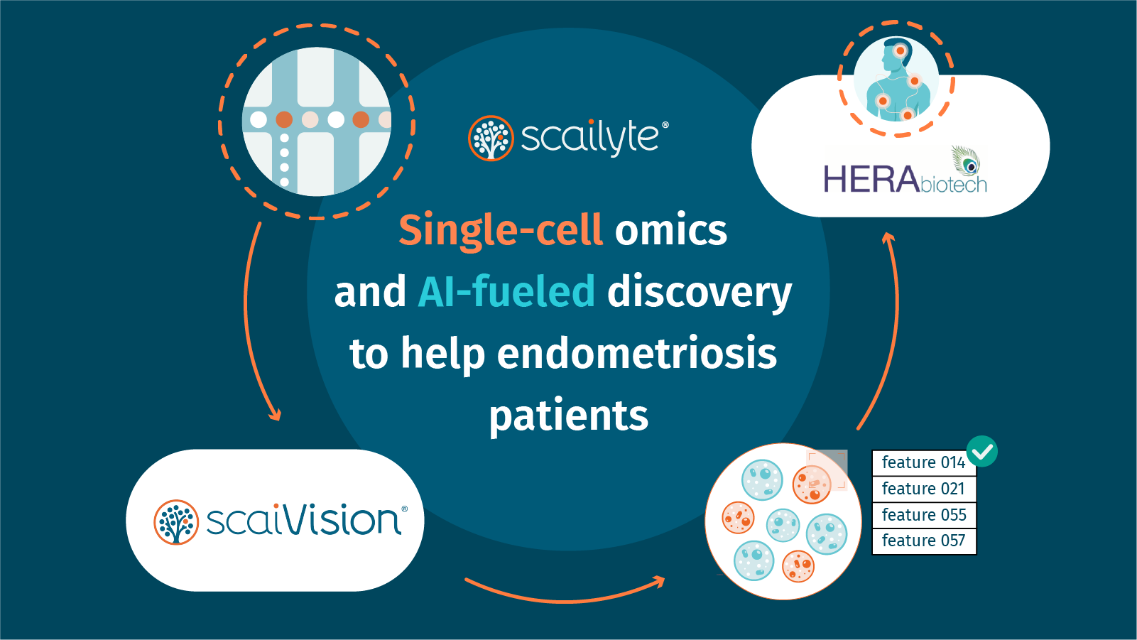 Hera Biotech acquires Scailyte's endometriosis diagnostic assets - HEMEX